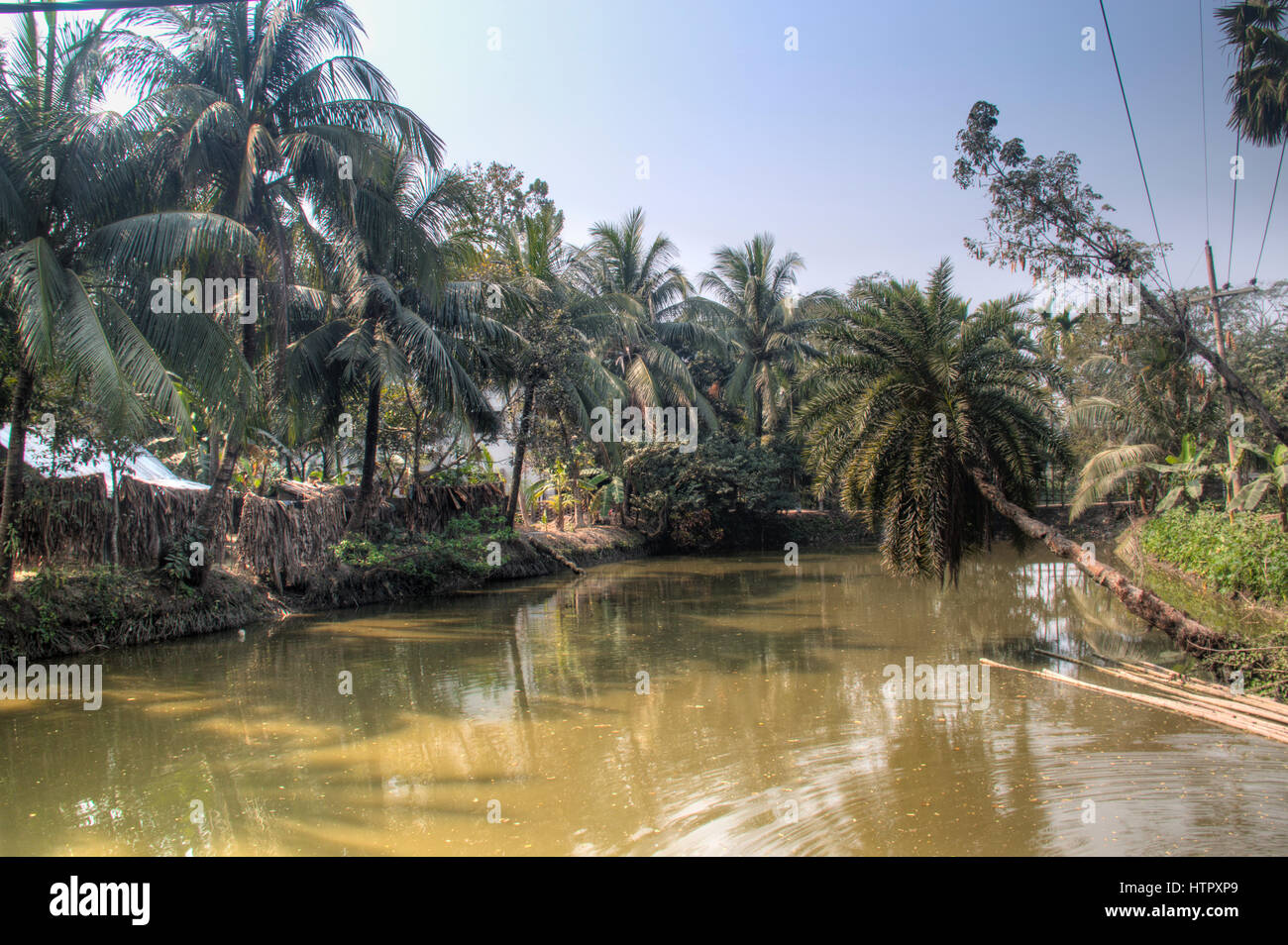 A small pond in Bagerhat, Bangladesh Stock Photo - Alamy