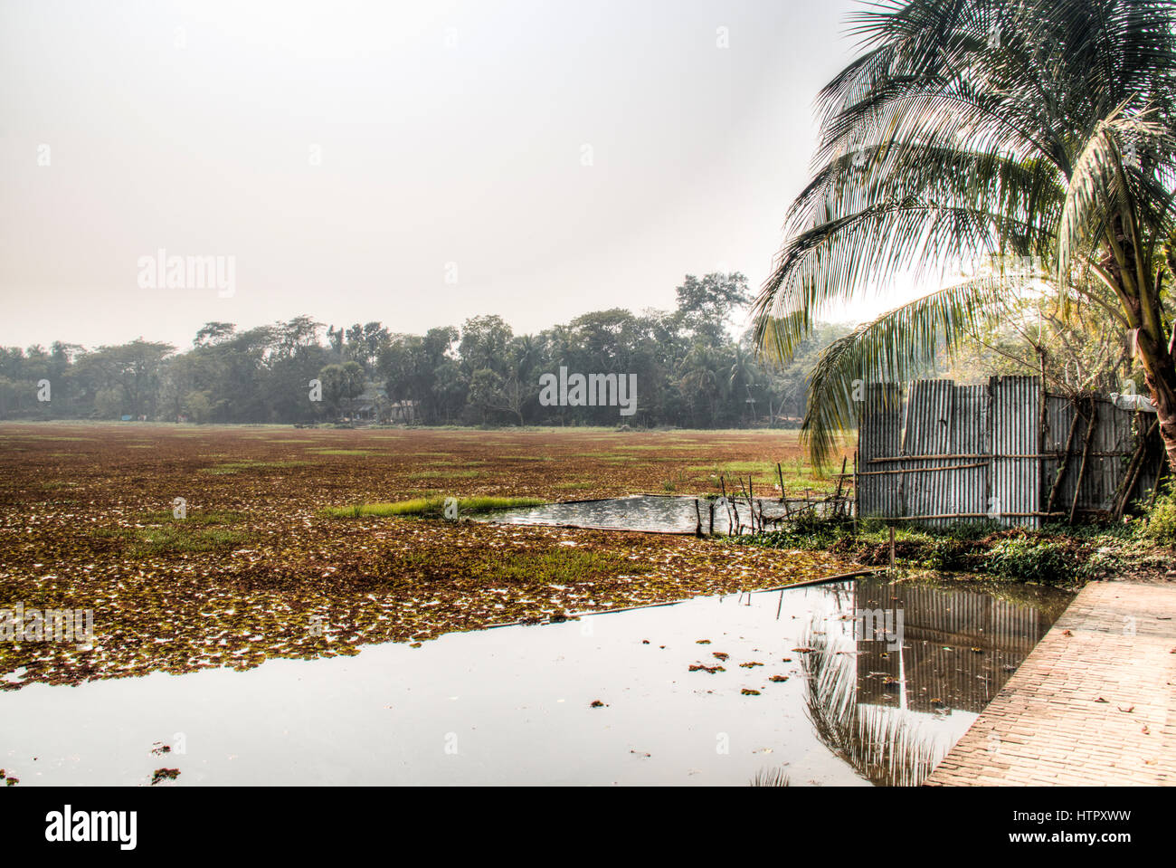 The big lake next to the Tomb Mosque of Khan Jahan Ali in Bagerhatat ...