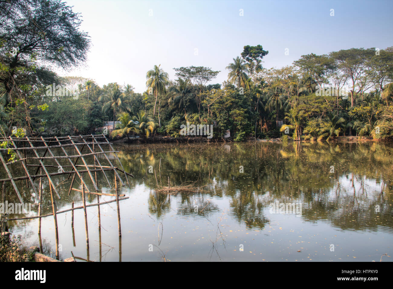 A small pond in Bagerhat, Bangladesh Stock Photo - Alamy