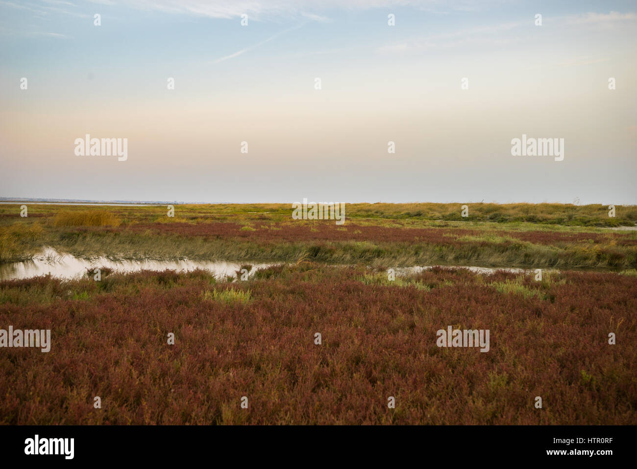 Landscape of the delta of river Evros, Greece Stock Photo - Alamy