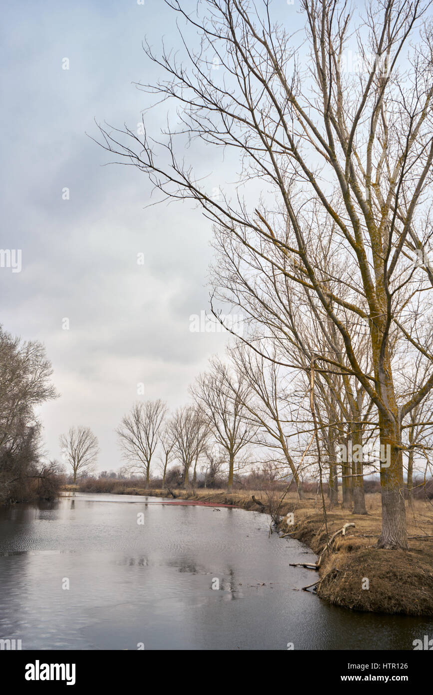 Landscape of the delta of river Evros, Greece Stock Photo - Alamy
