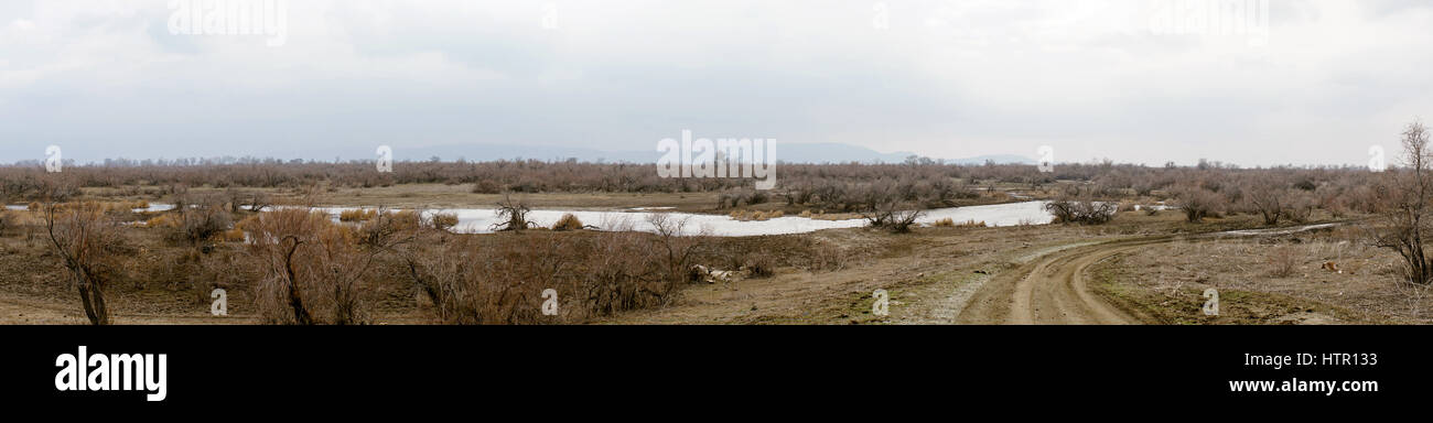 Landscape of the delta of river Evros, Greece, panoramic view Stock ...