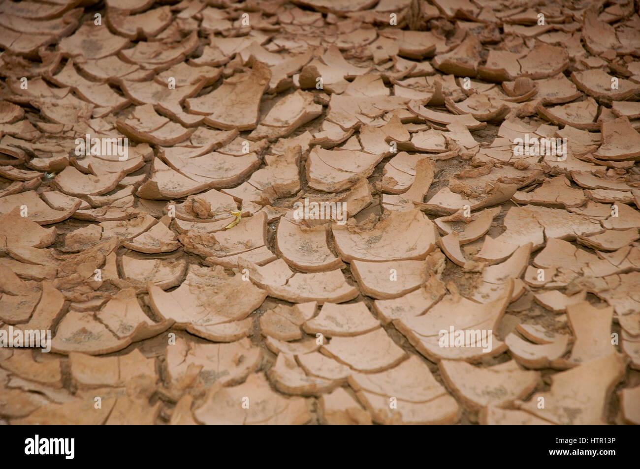 Dry mud texture dried riverbed hi-res stock photography and images - Alamy