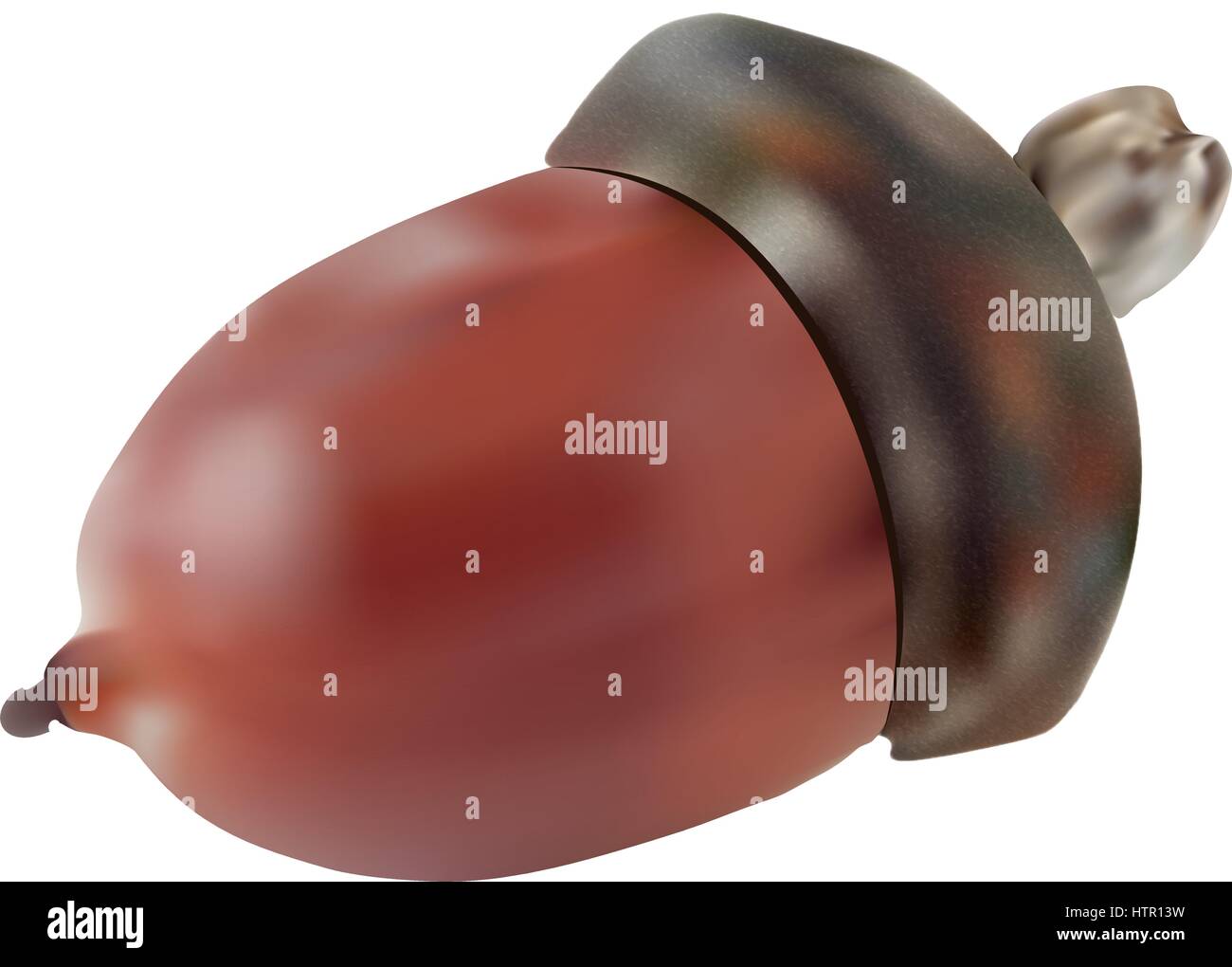 Gold objects cutout Stock Vector Images - Alamy