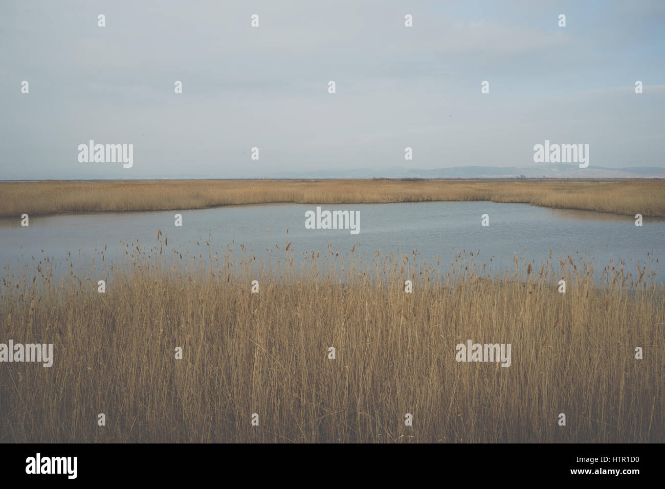 Landscape on delta of river Evros, Greece Stock Photo - Alamy