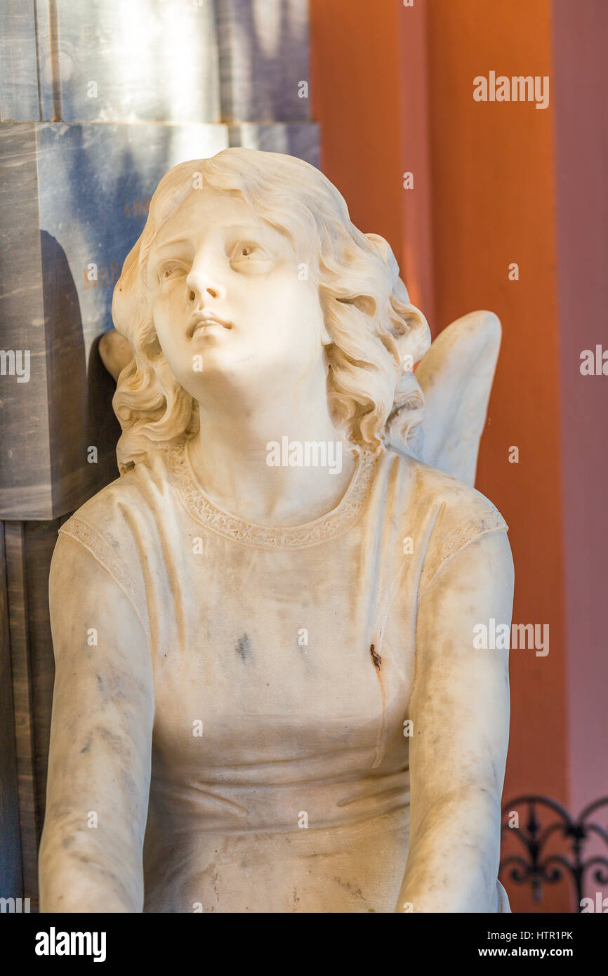 statue of angel looking upwards Stock Photo - Alamy