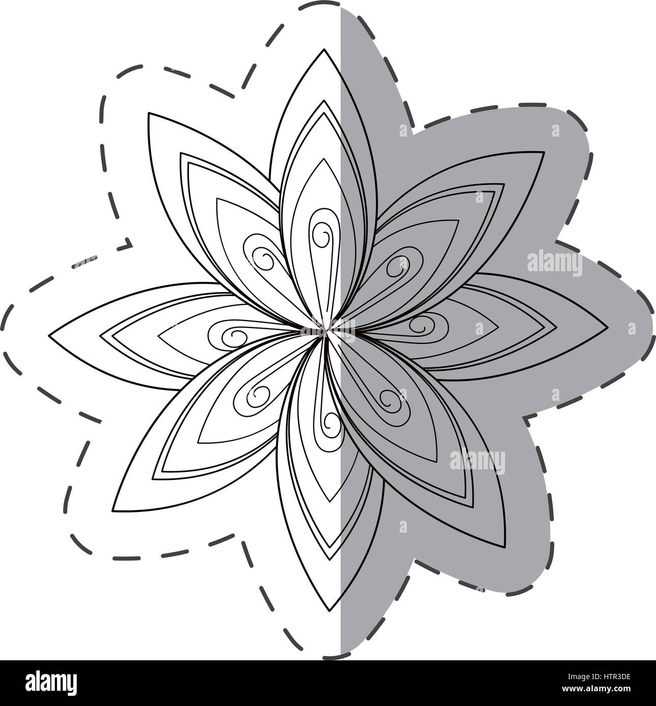 Aster border Stock Vector Images - Alamy