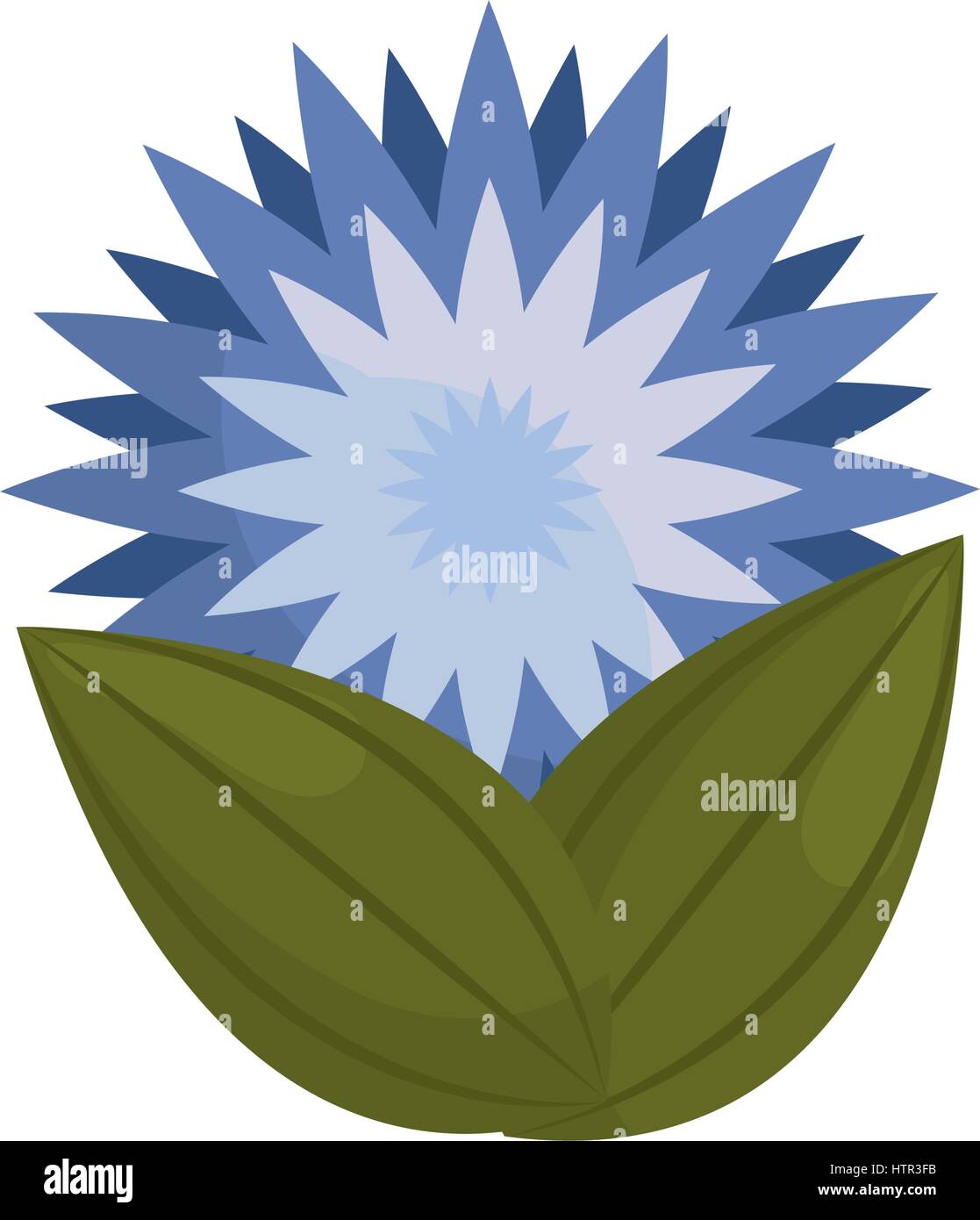 Flower garden leaves green nature close Stock Vector Images - Alamy