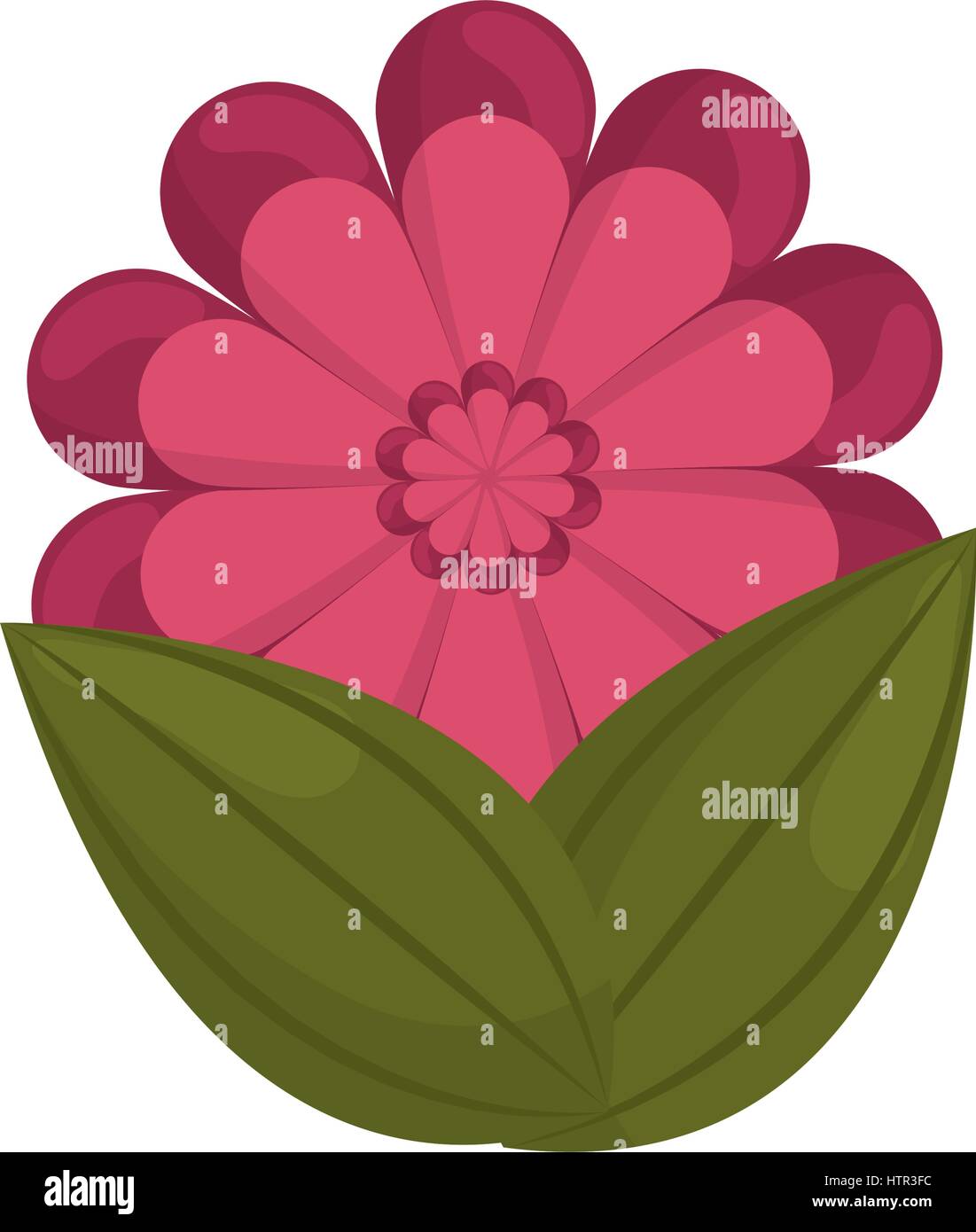gerbera flower bud with leaves Stock Vector Image & Art - Alamy