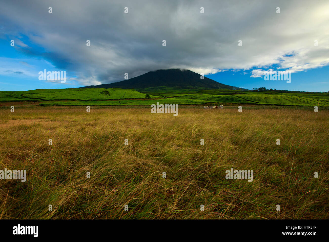 Mount dempo hi-res stock photography and images - Alamy