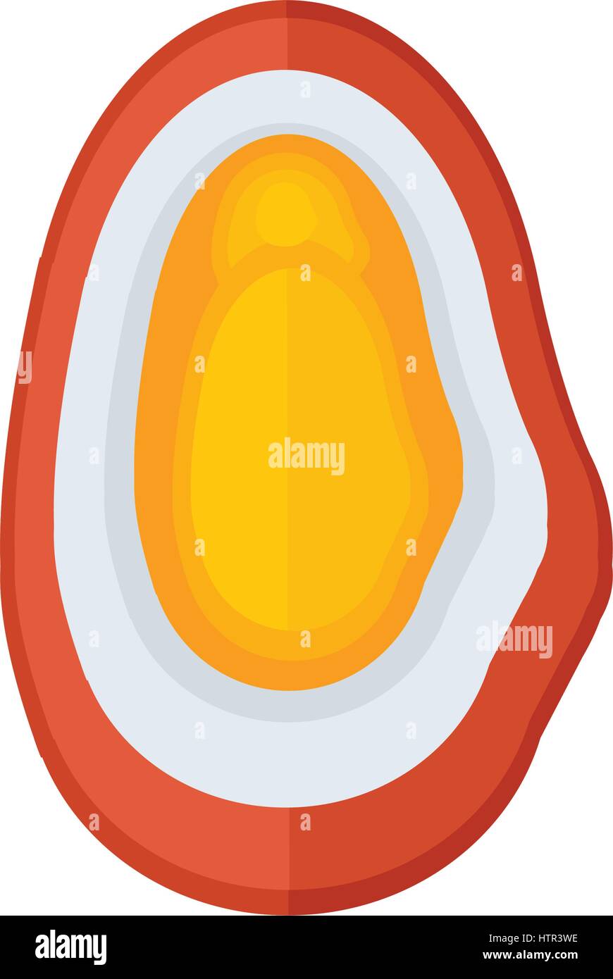Shellfish collection Stock Vector Images - Alamy