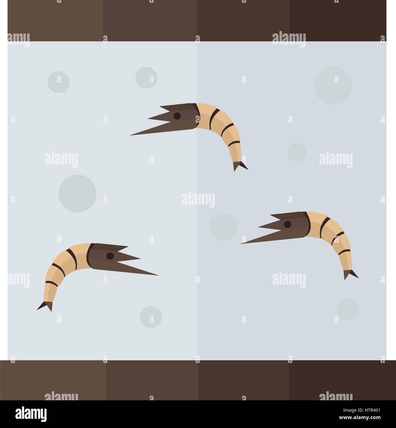 Brown shrimp swimming Stock Vector Images - Alamy