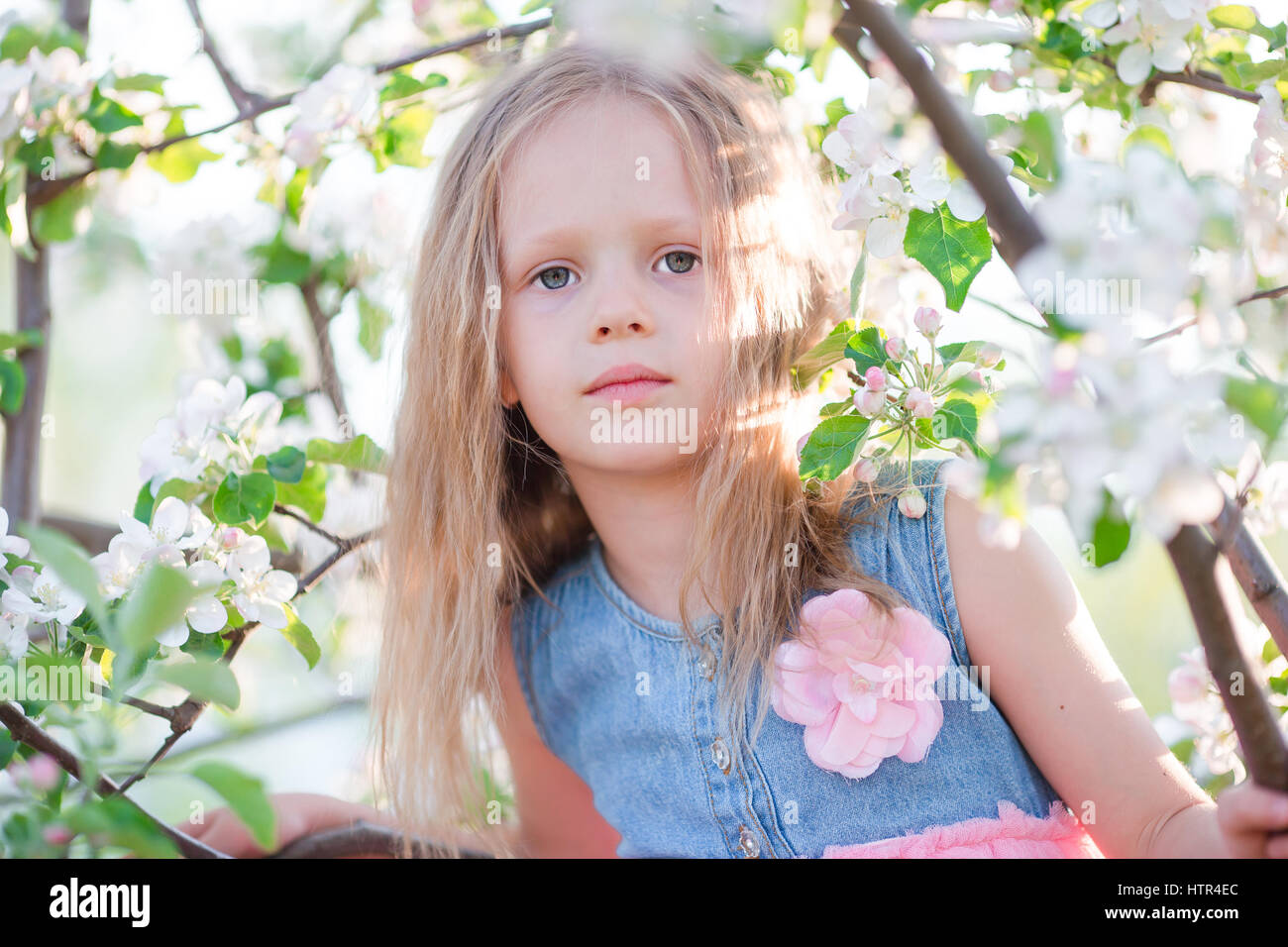 Portrait of little girl in blooming apple tree garden on spring day Stock Photo - Alamy