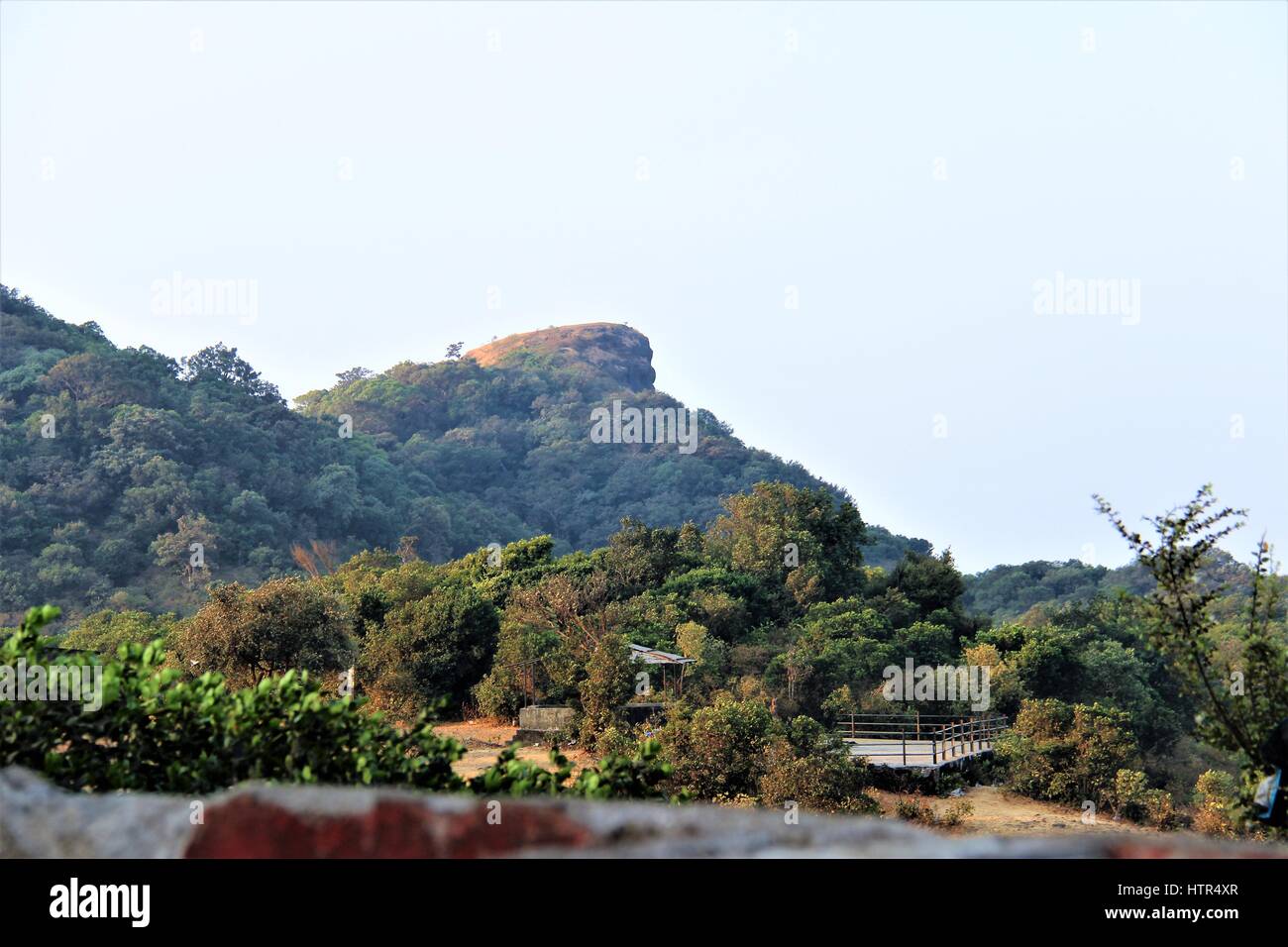 Godavari River Birth Place
