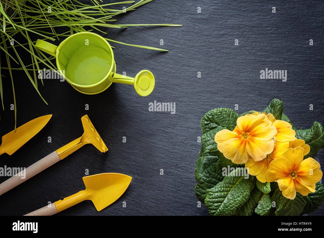 flowers, grass, things take care of them Stock Photo - Alamy