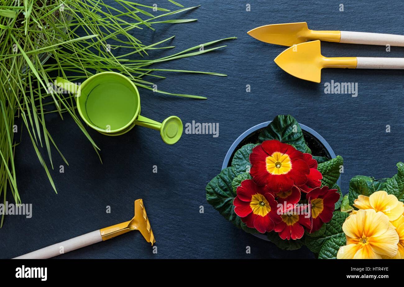 Take care of our earth hi-res stock photography and images - Alamy