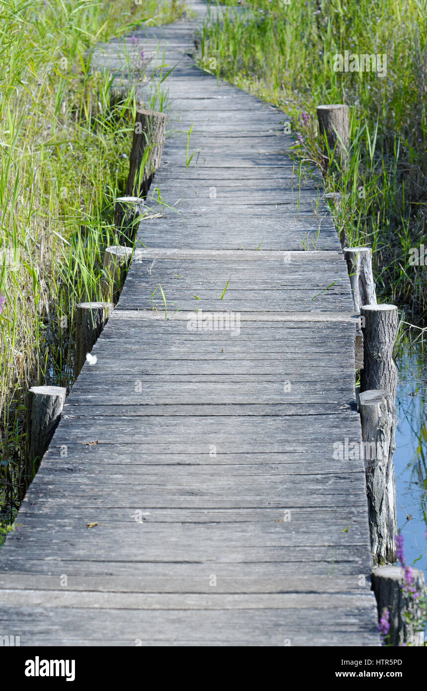way on stilts Stock Photo - Alamy
