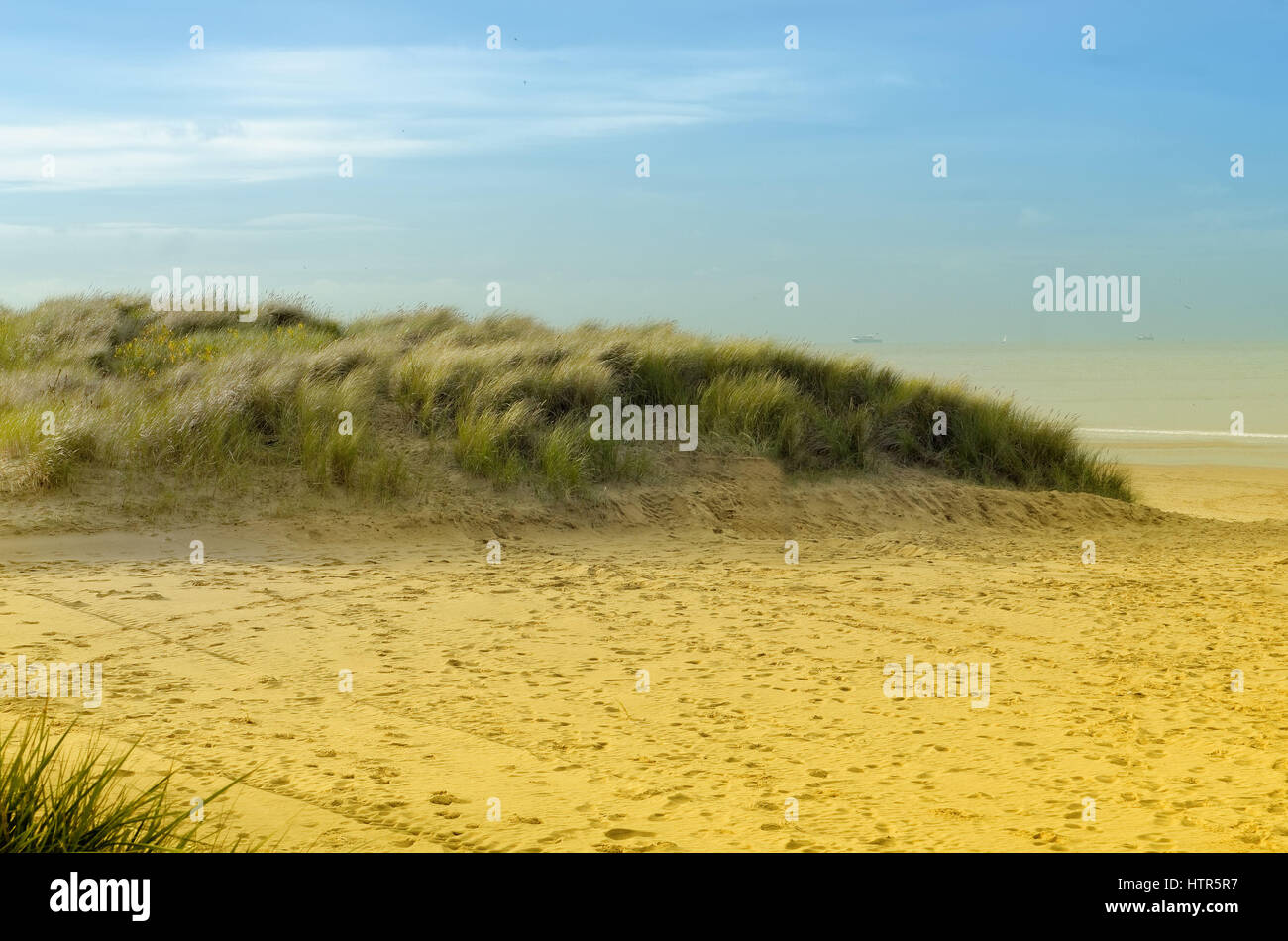 the northern beaches Stock Photo - Alamy