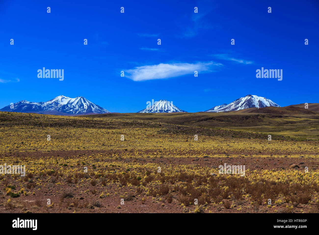 Laguna miniques in chile hi-res stock photography and images - Alamy
