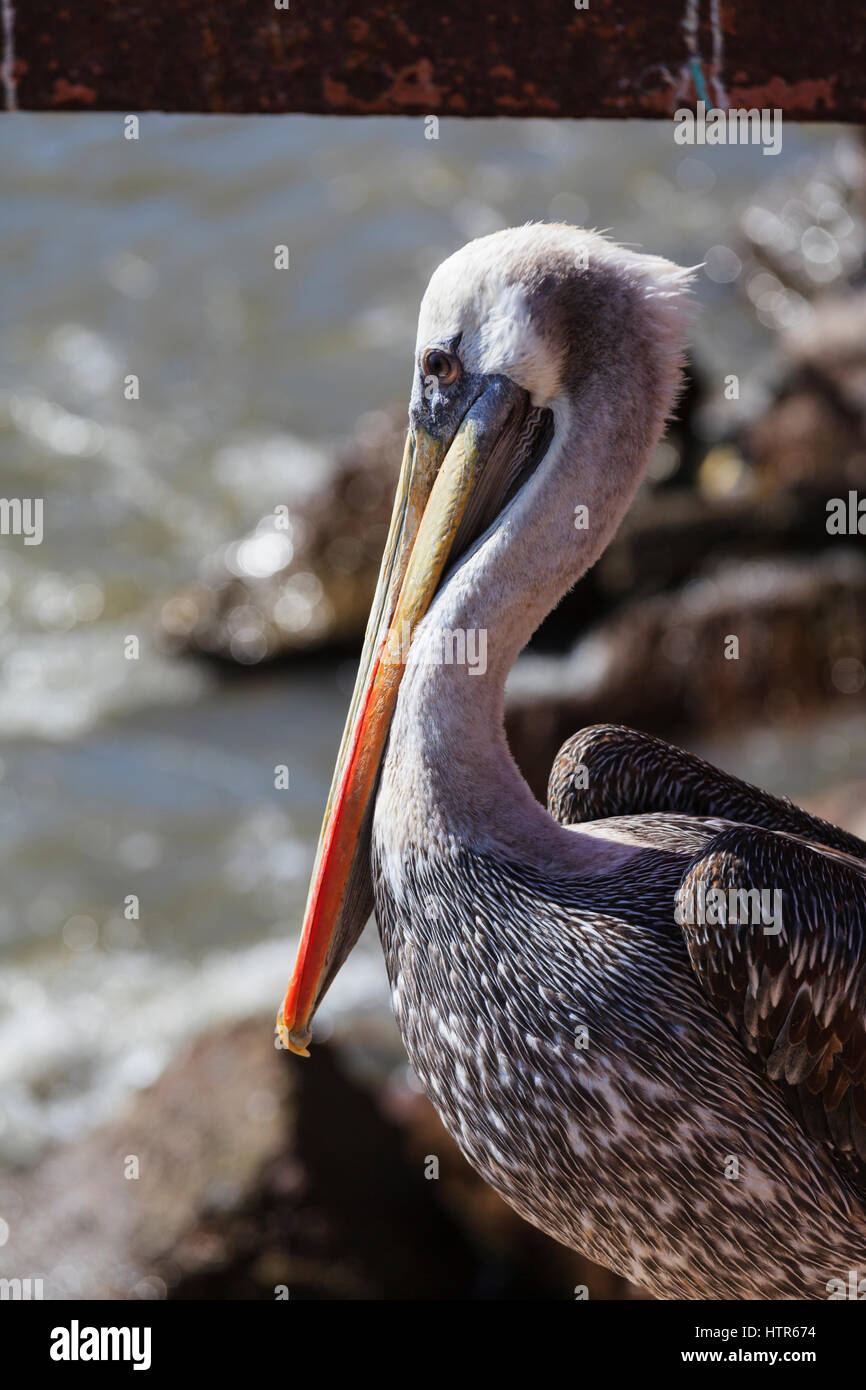Photo: Navè Orgad Stock Photo - Alamy