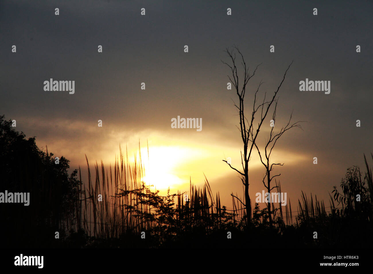 Beautiful sunset, New Delhi, India (© Saji Maramon Stock Photo - Alamy