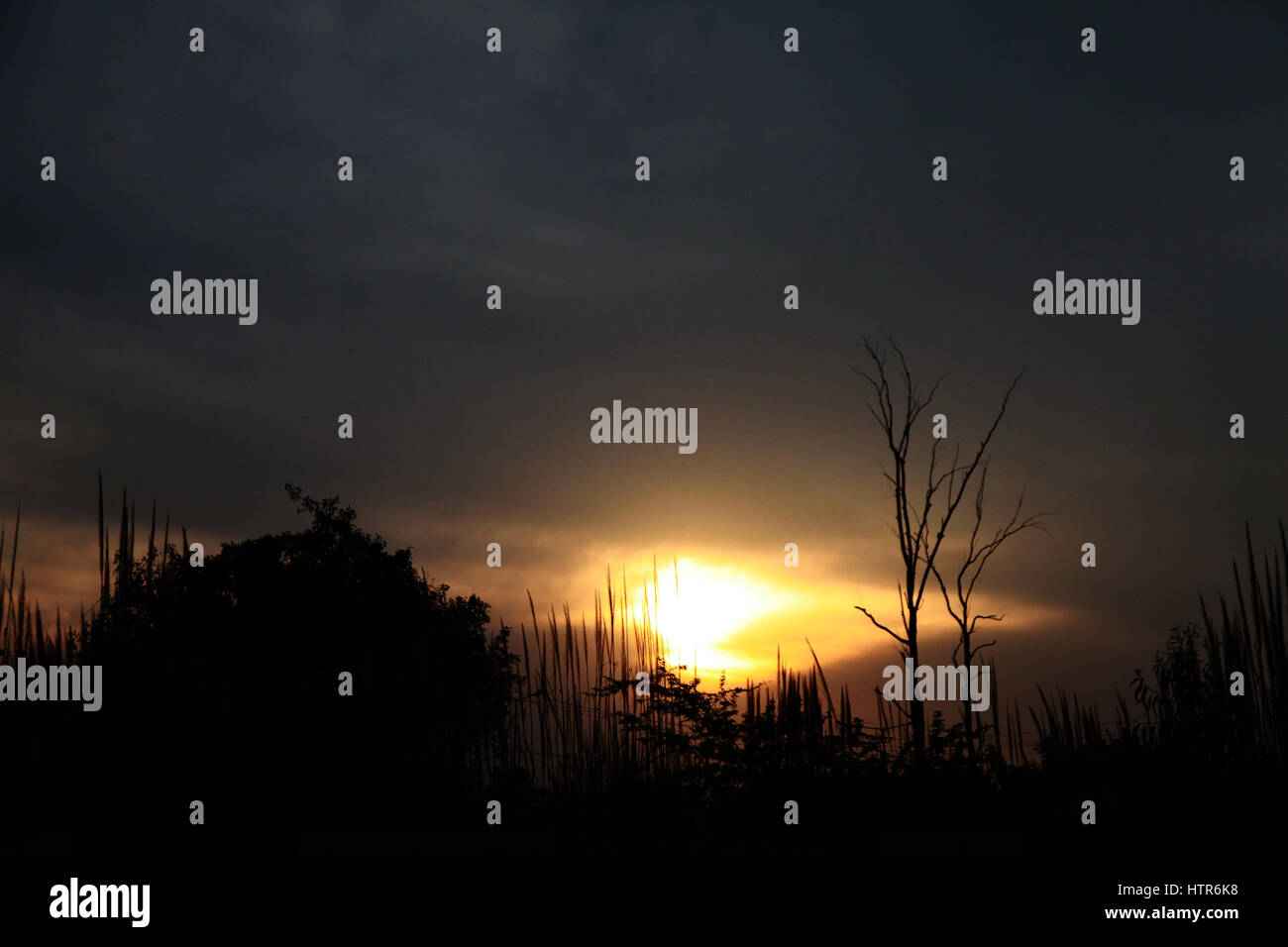 Discover delhi hi-res stock photography and images - Alamy