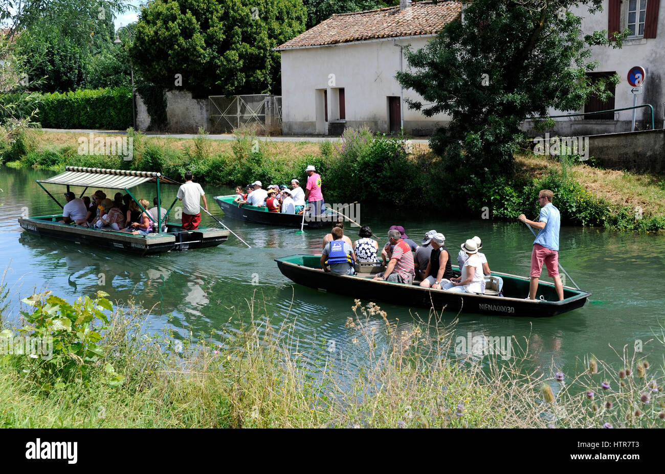 Boat trip in dried march, Coulon, Sevre river, Marais Poitevin, Venise ...