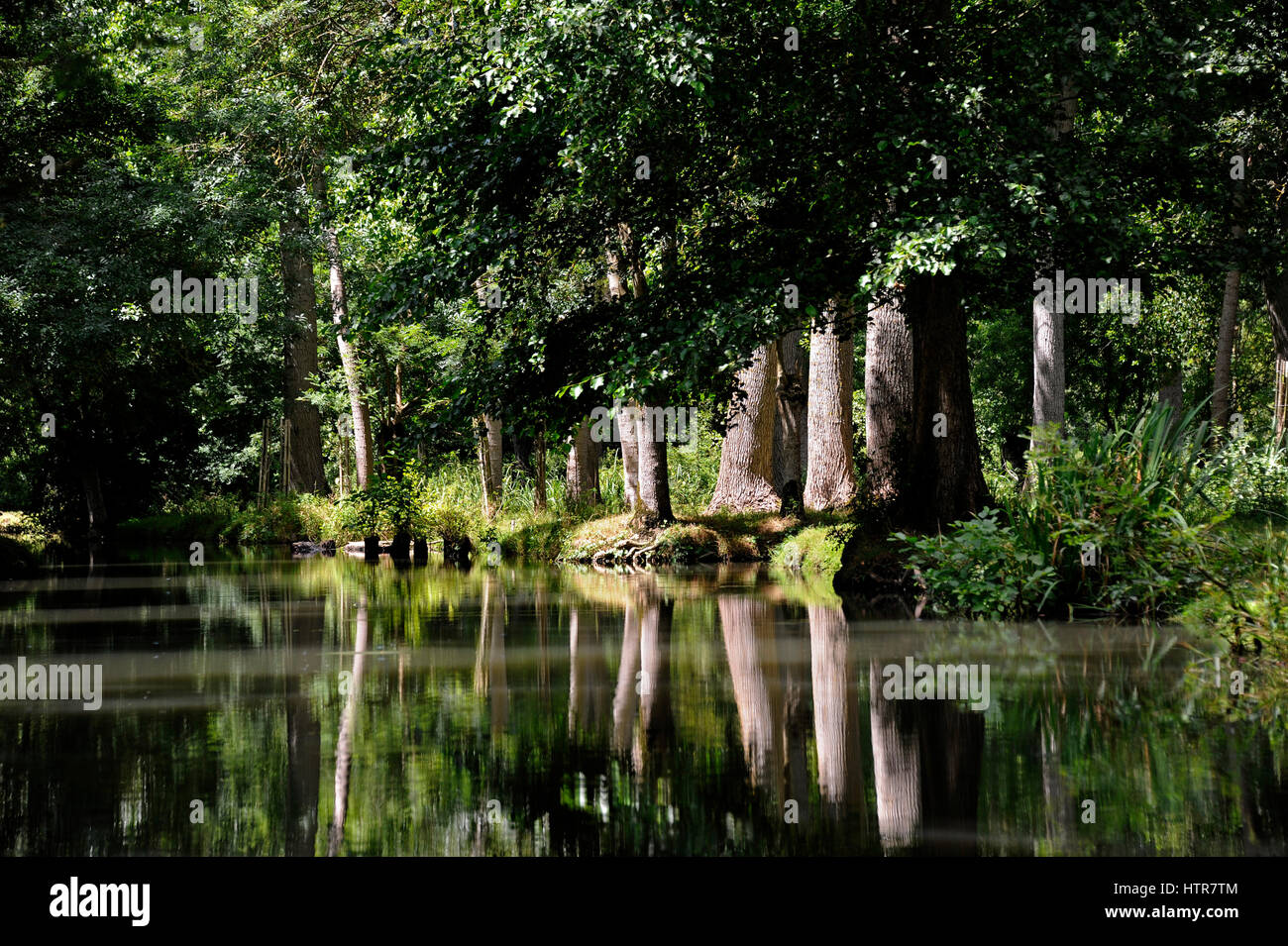 Marais poitevin regional park hi-res stock photography and images - Alamy