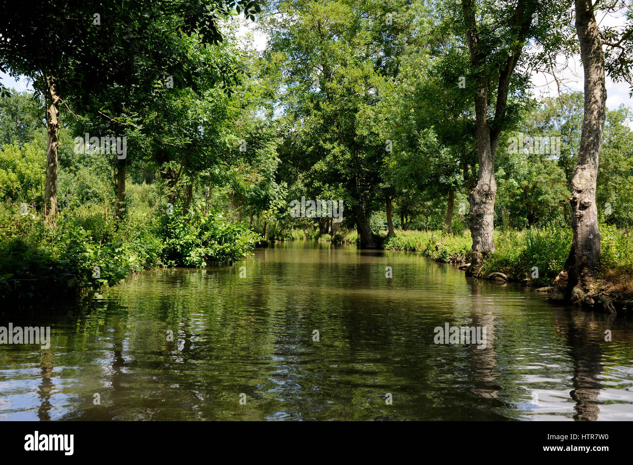 Park marais poitevin hi-res stock photography and images - Alamy