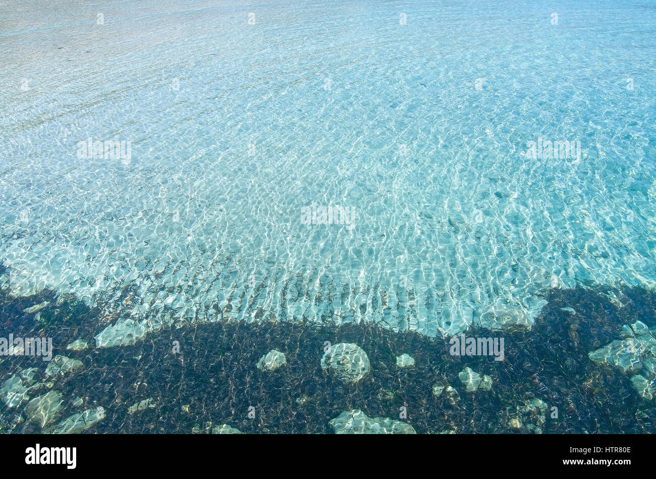 Green shallow sea water background texture in Mallorca, Spain Stock ...
