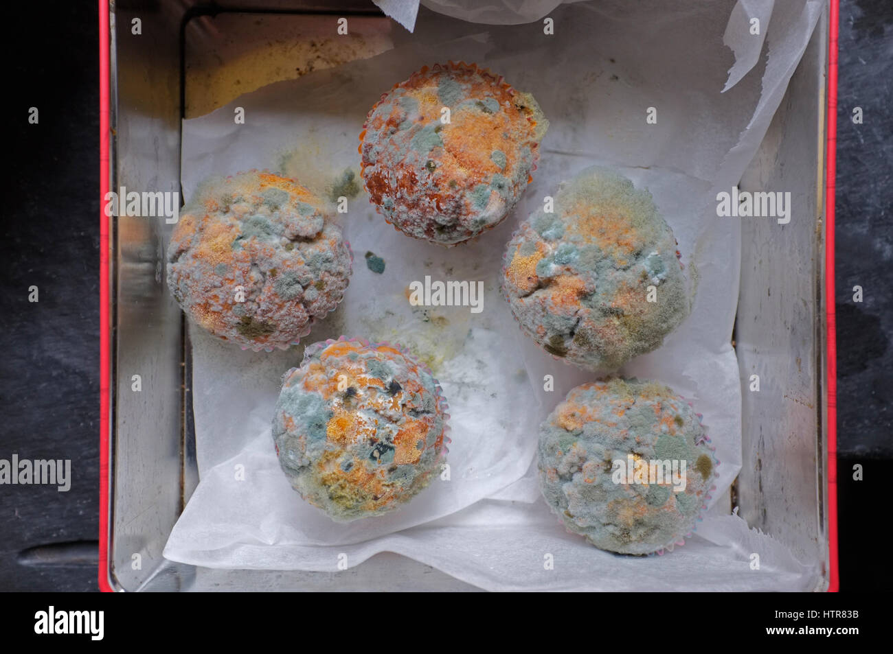 Moldy cake hi-res stock photography and images - Alamy