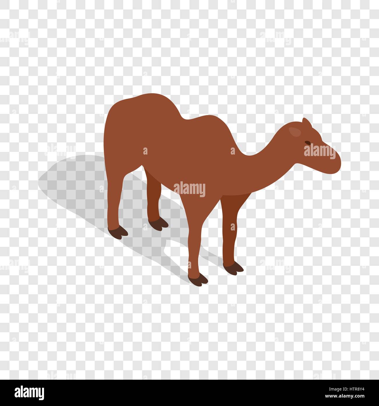 Camel isometric icon Stock Vector Image & Art - Alamy