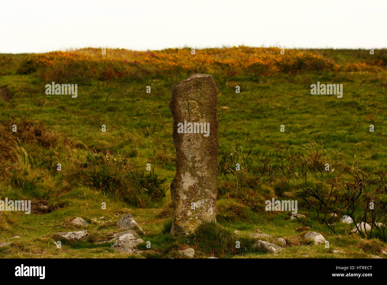 Granite Boundary marker stone on the Ilsington Manaton border on Haytor ...