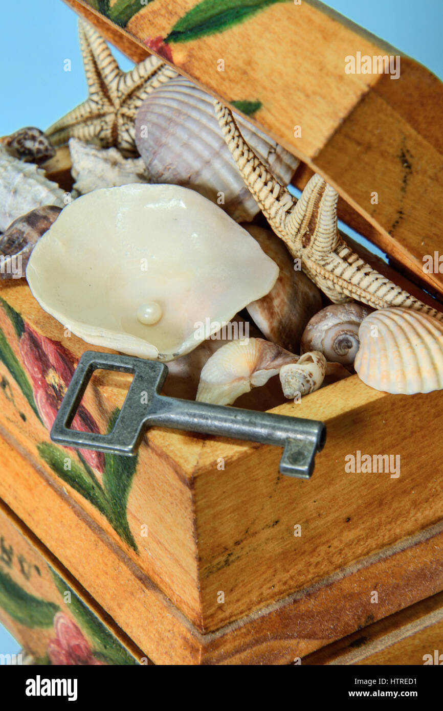 Wooden box with pearl shell, shells, and a key for the treasure Stock ...