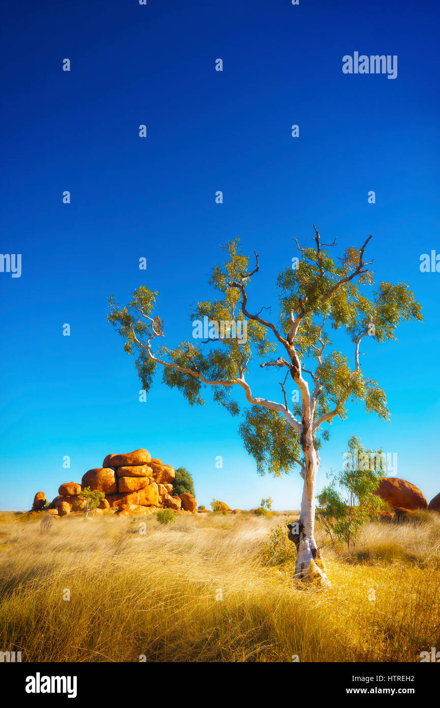 Australian outback landscape hi-res stock photography and images - Alamy