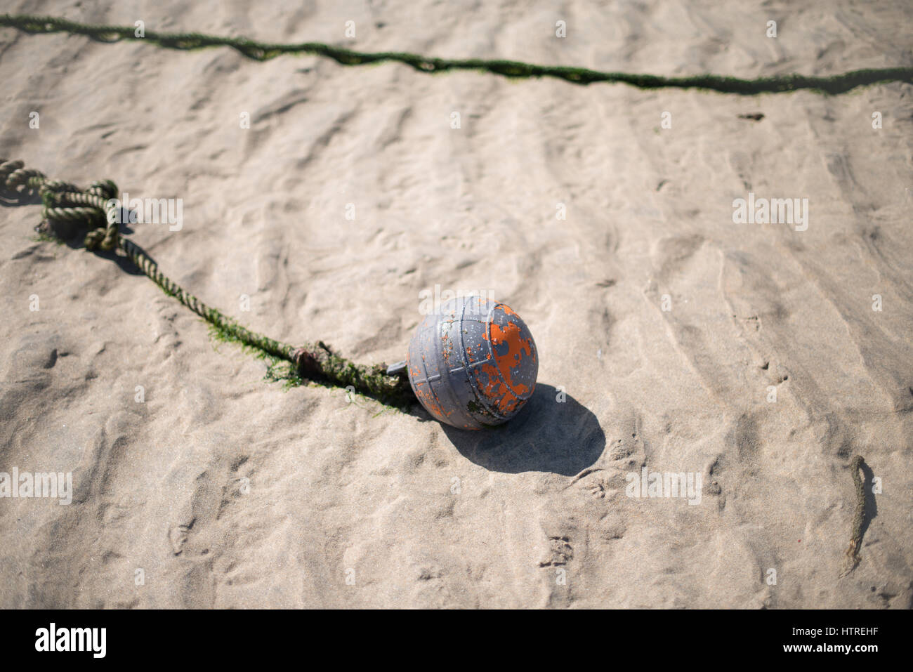 A float tied to a rope laying on golden sand during low tide in the ...