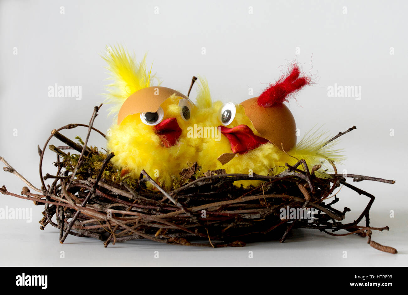 Bird fur nest hi-res stock photography and images - Alamy