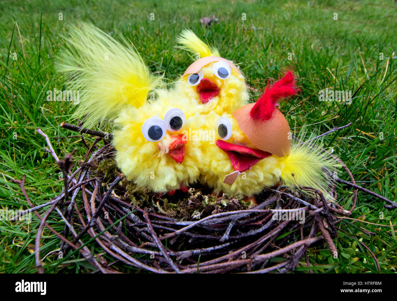 Easter chicks in a nest Stock Photo - Alamy