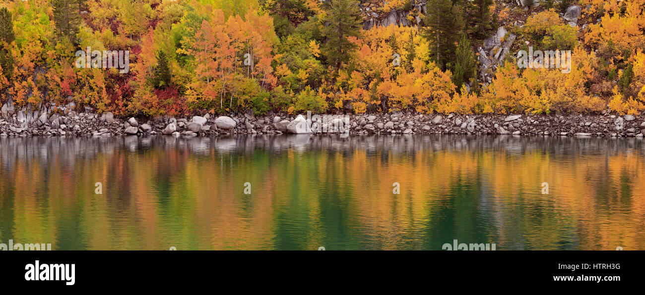 Fall and Autumn Detail Stock Photo - Alamy