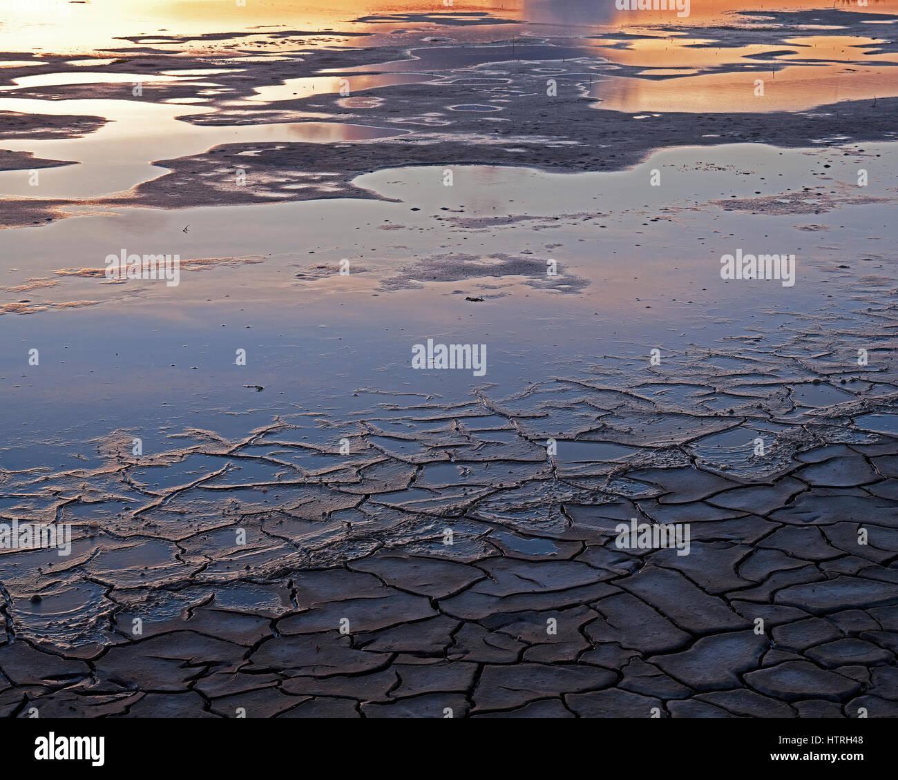 Dried and cracked Mud Stock Photo - Alamy