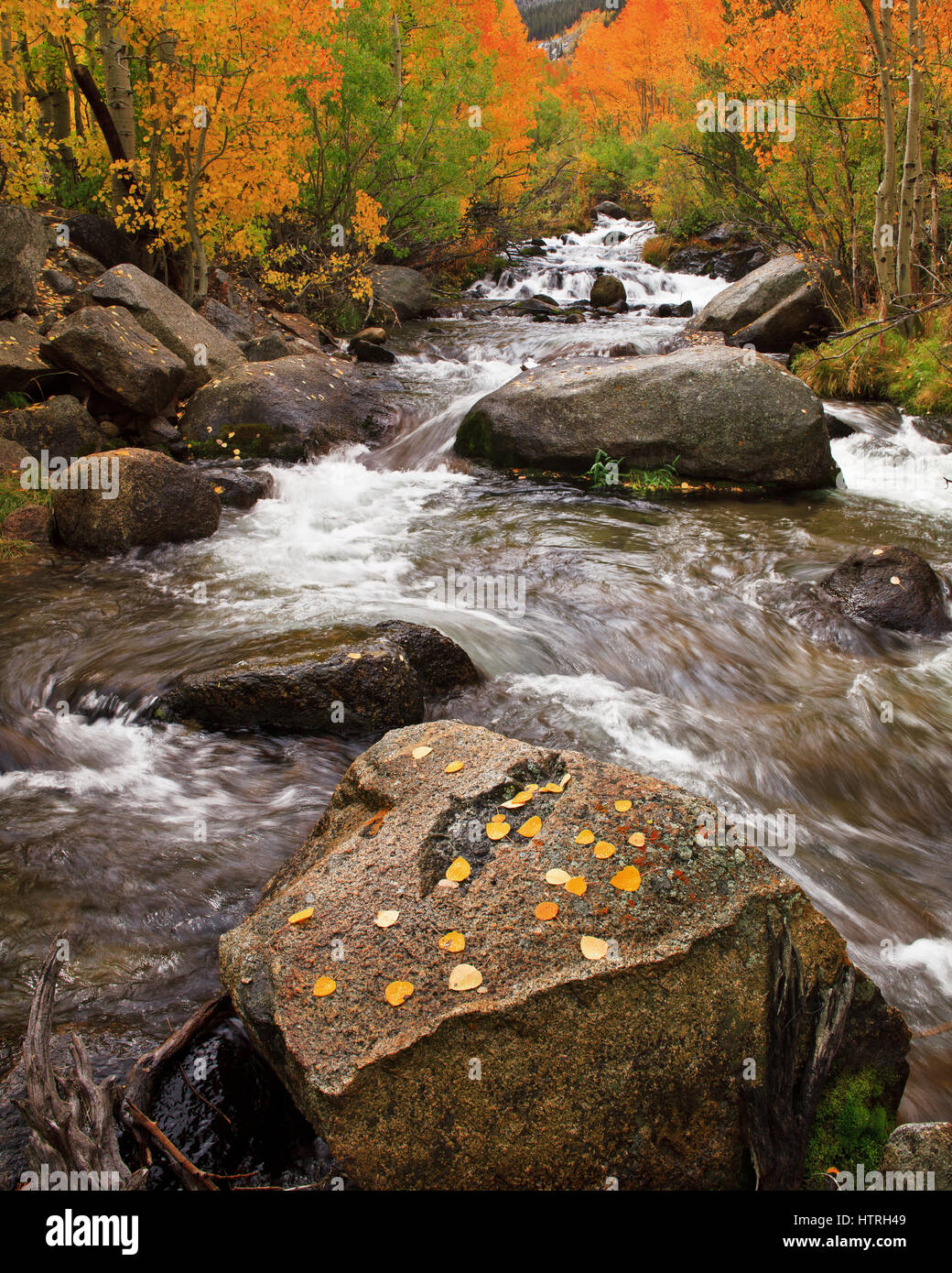Fall season icon hi-res stock photography and images - Alamy