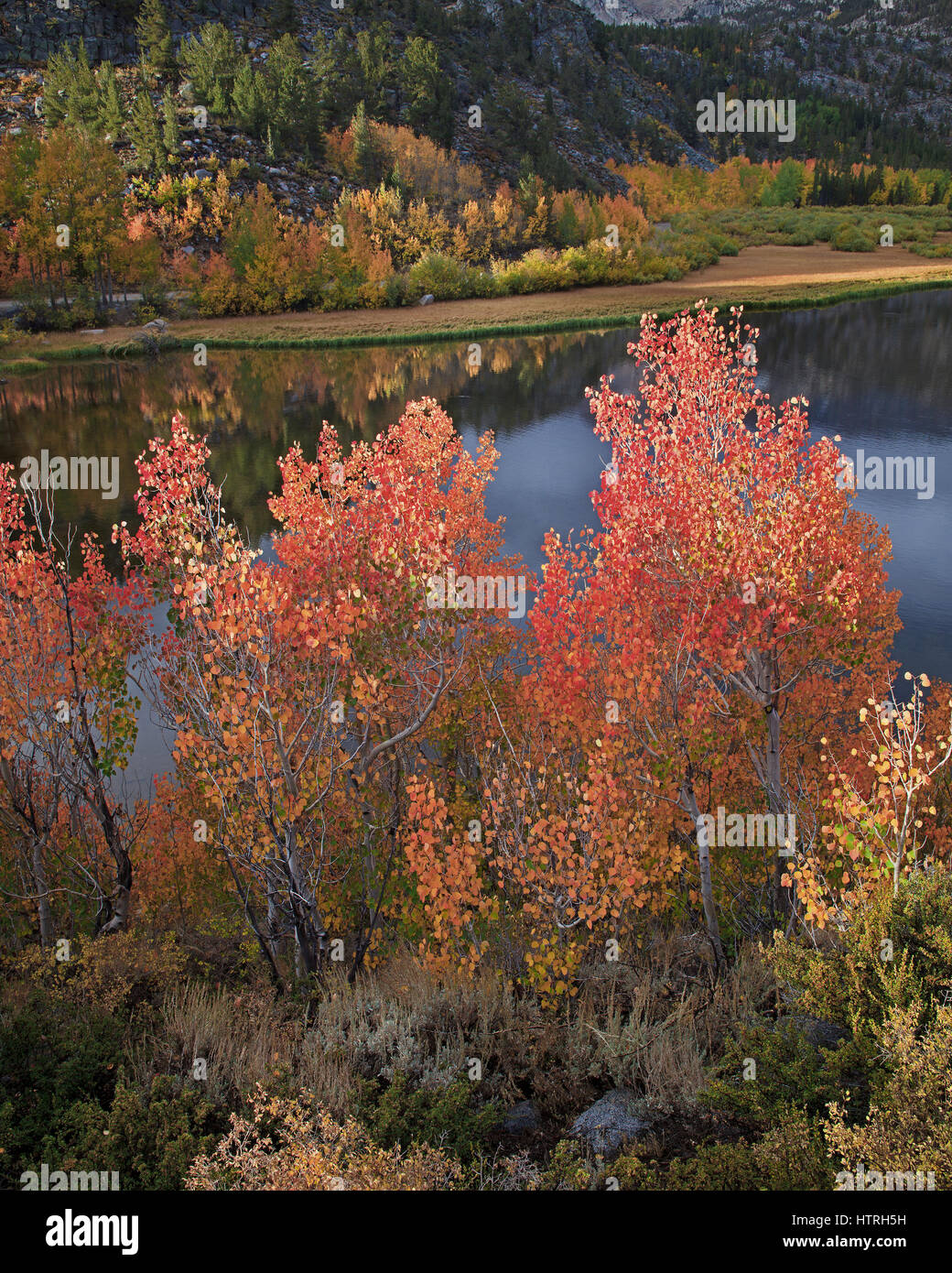Fall season icon hi-res stock photography and images - Alamy