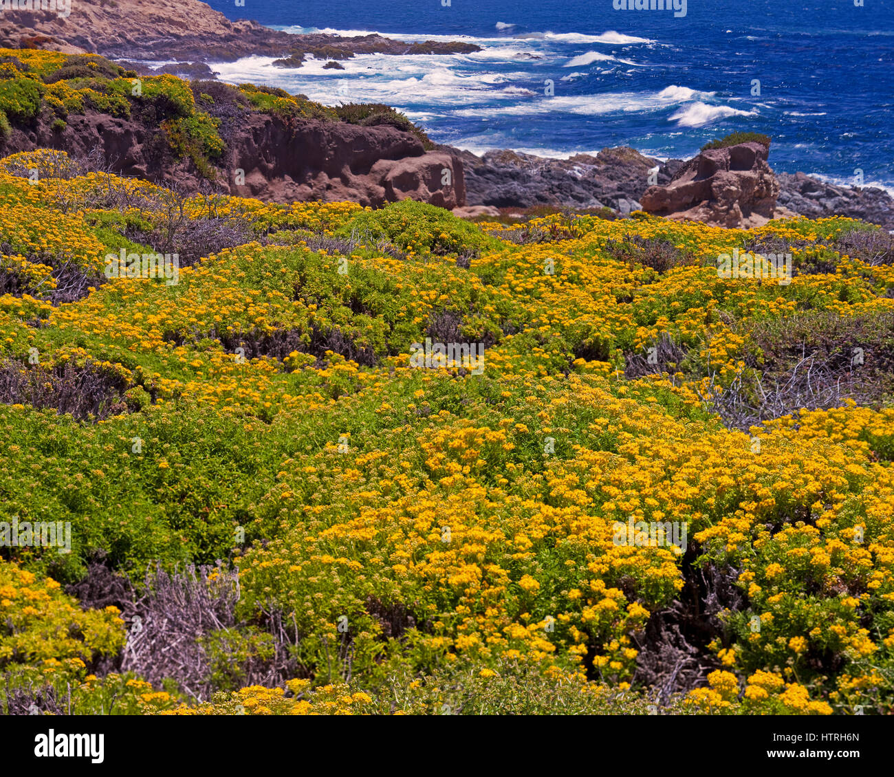 California sun and water hi-res stock photography and images - Alamy