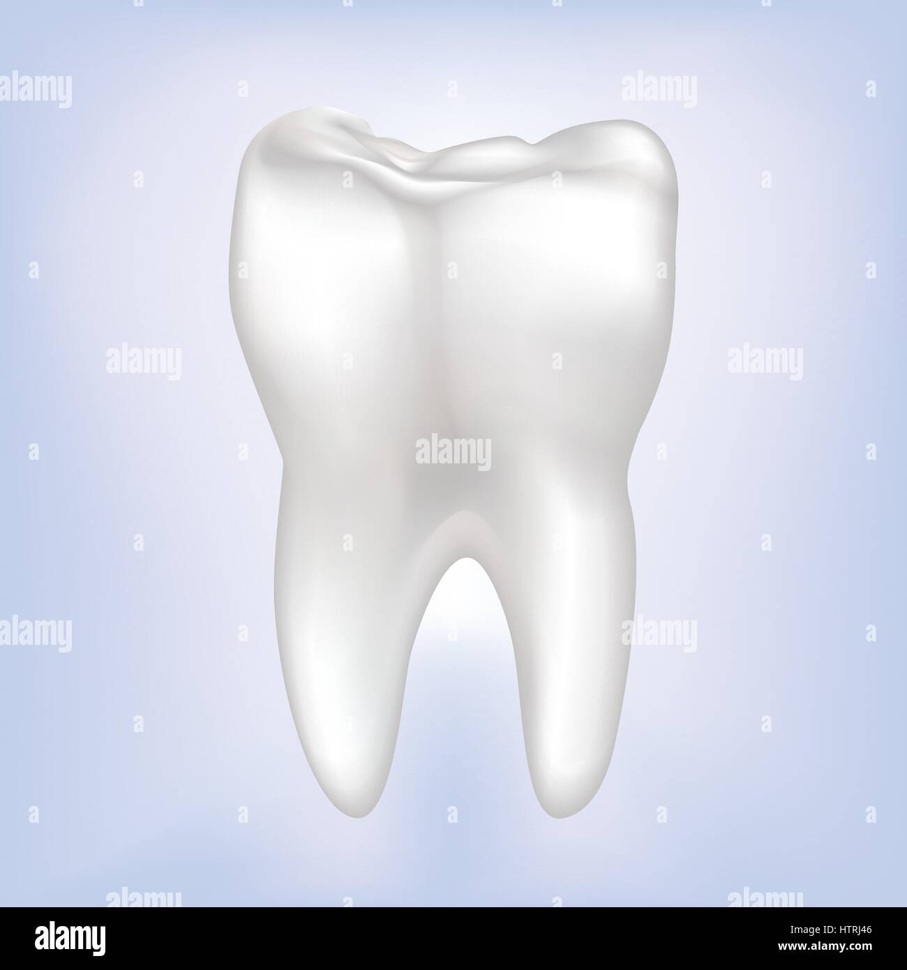 Tooth isolated. Teeth white sign. Dental medical illustration Stock ...