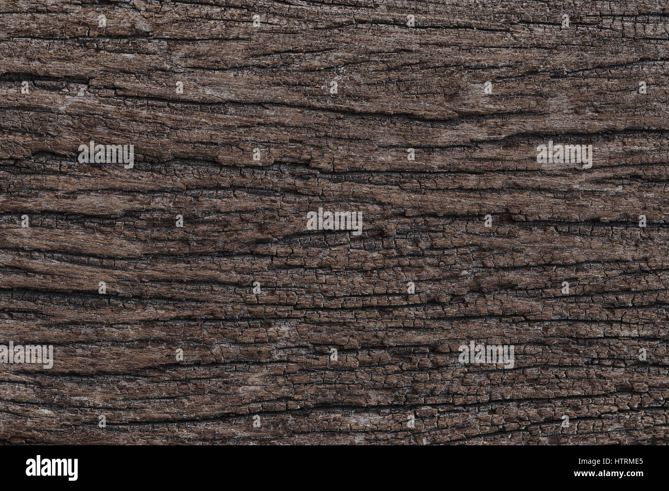 Old wood texture for the design background Stock Photo - Alamy