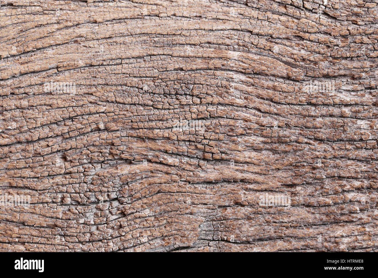 Old wood texture for the design background Stock Photo - Alamy