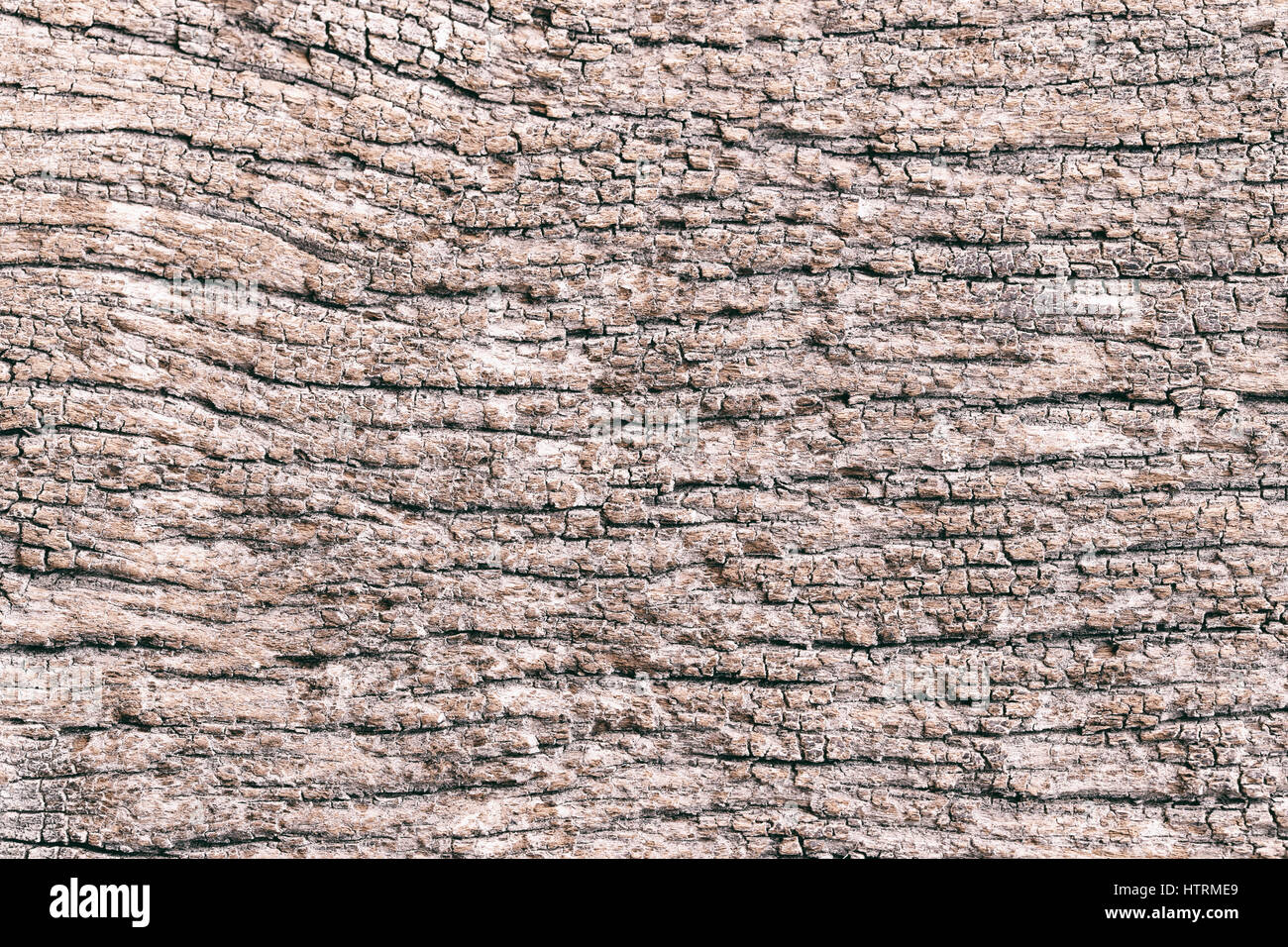 Old wood texture for the design background Stock Photo - Alamy