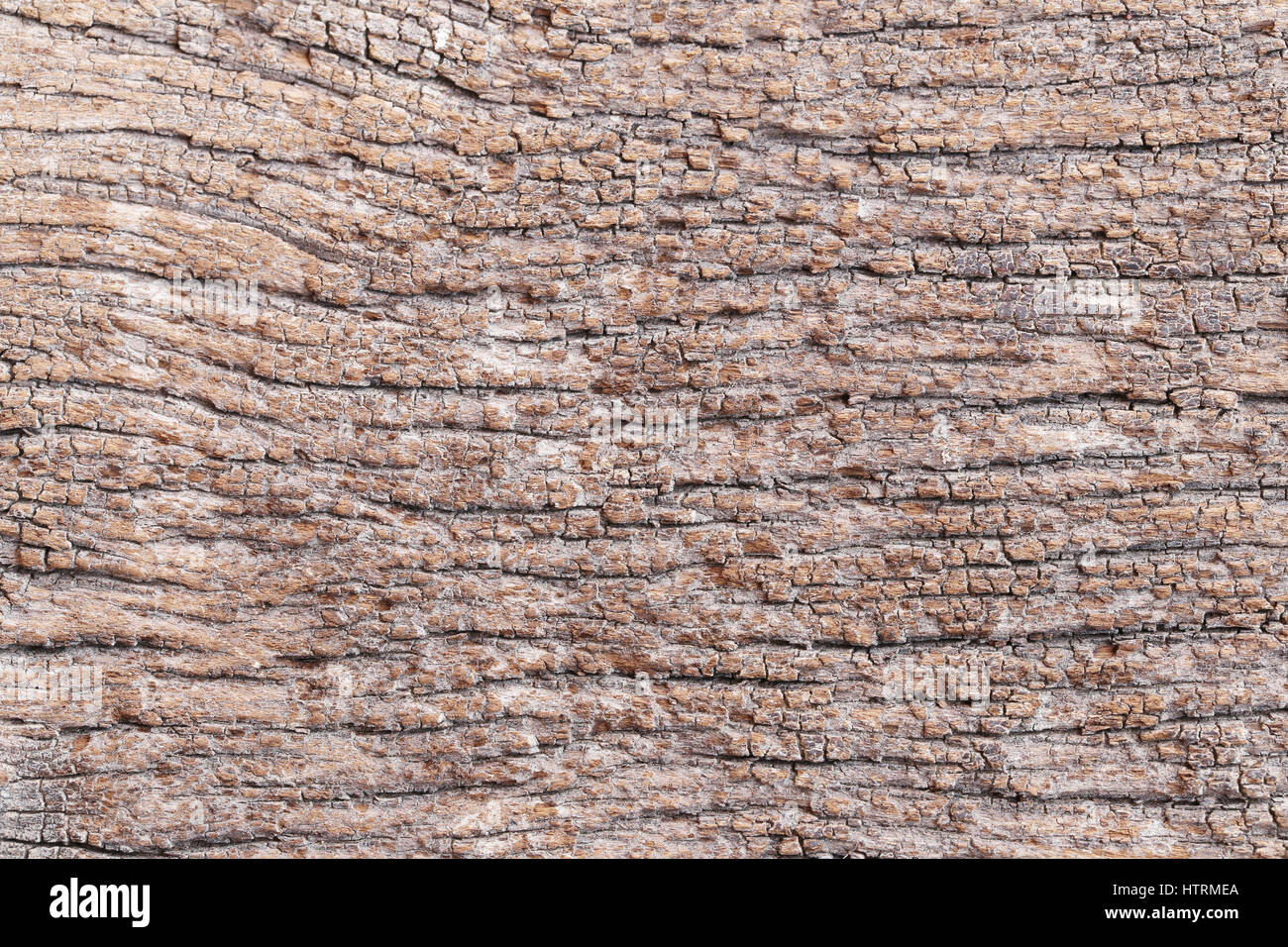 Old wood texture for the design background Stock Photo - Alamy