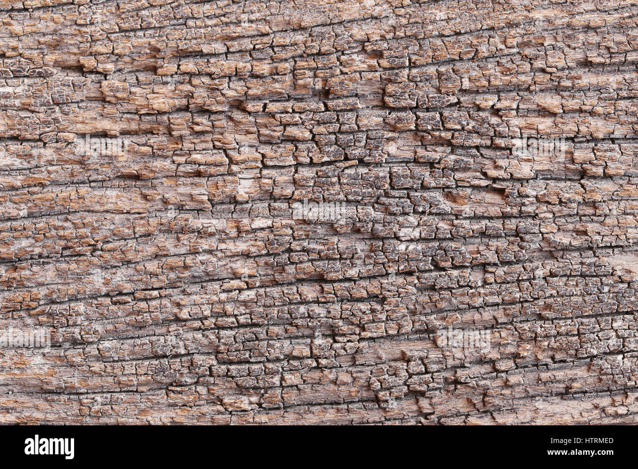 Old wood texture for the design background Stock Photo - Alamy