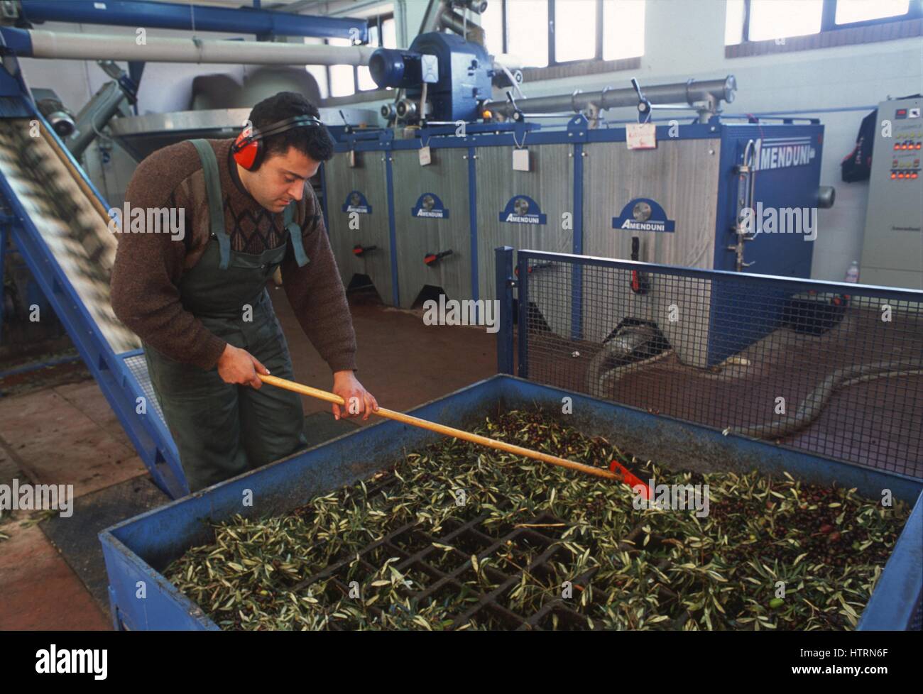 Automatic crusher for the squeeze of the olives and the production of ...